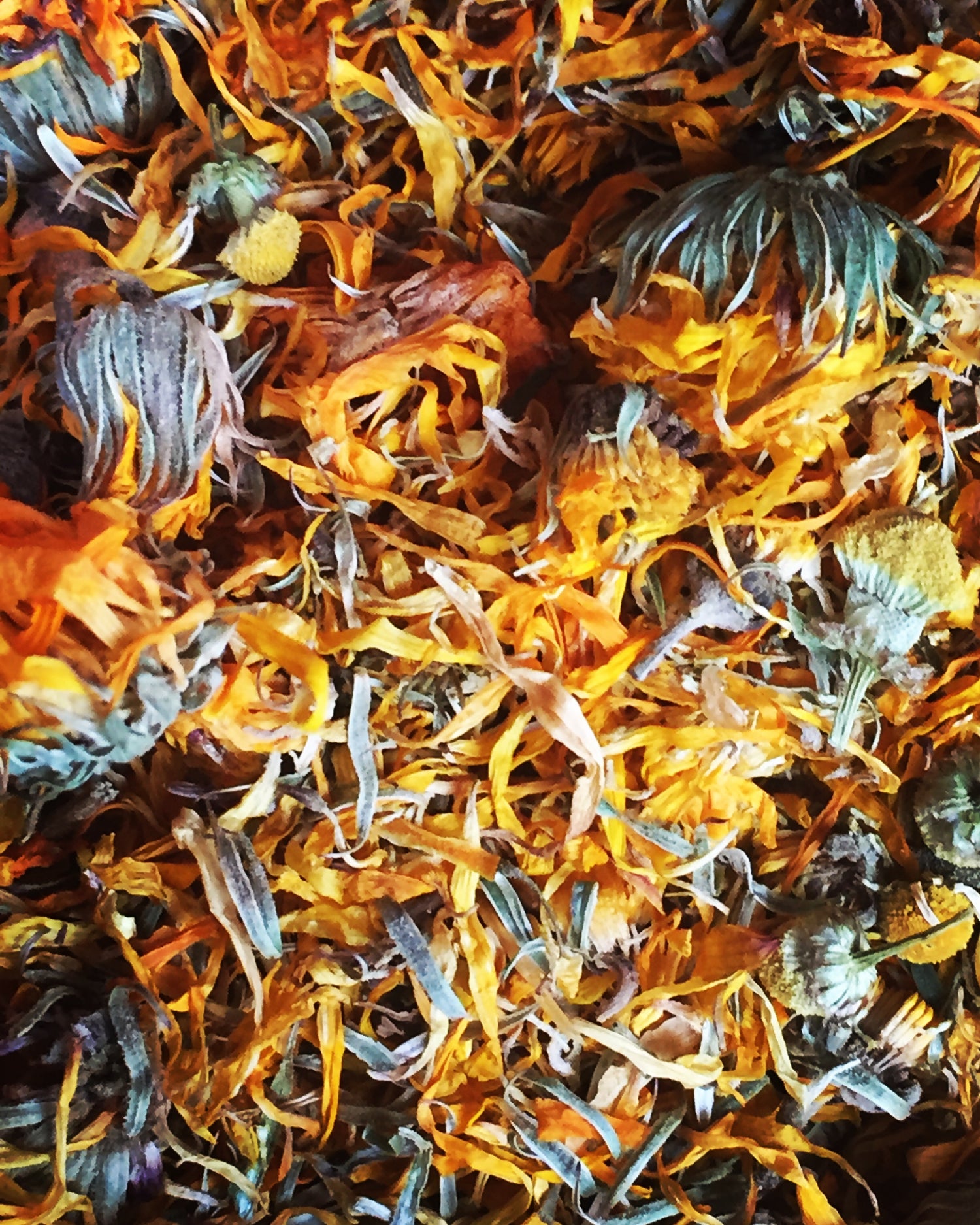 Freyja's Magic Apothecary